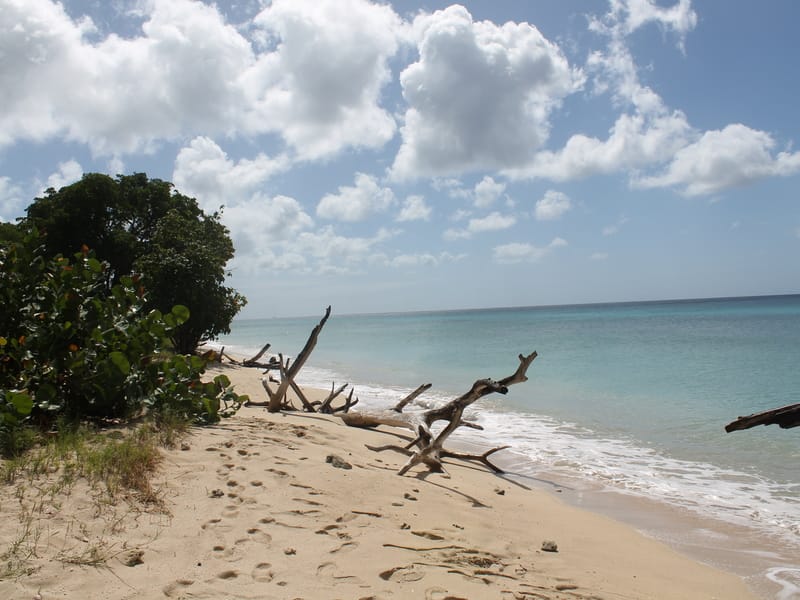 Land For Sale in Barbados - Buy land in Barbados.