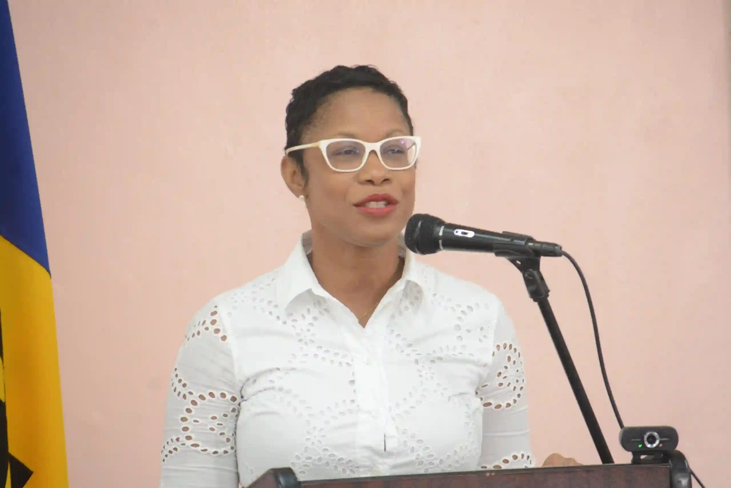 Barbados News - Senator Lisa Cummins Leads First Battery Energy Storage ...