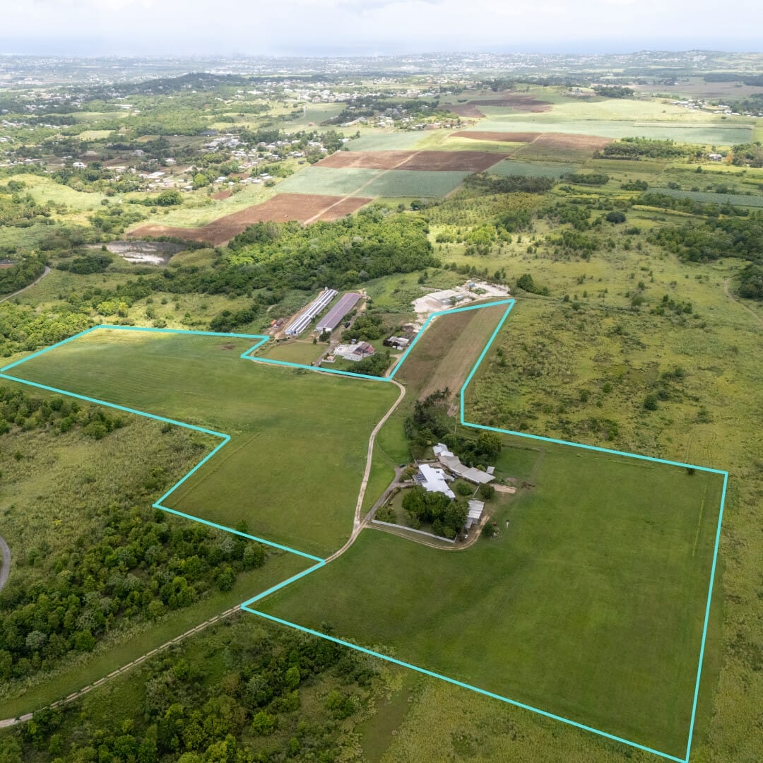 Versatile 25.94 Acres Agricultural Land – Belle Farm, Lots 1A & 2A ...