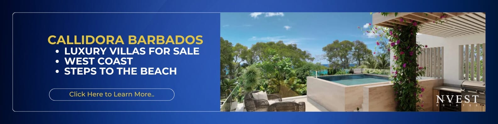 Buzo Osteria Italiana Restaurant Hastings, Barbados, Reviews, Menu ...