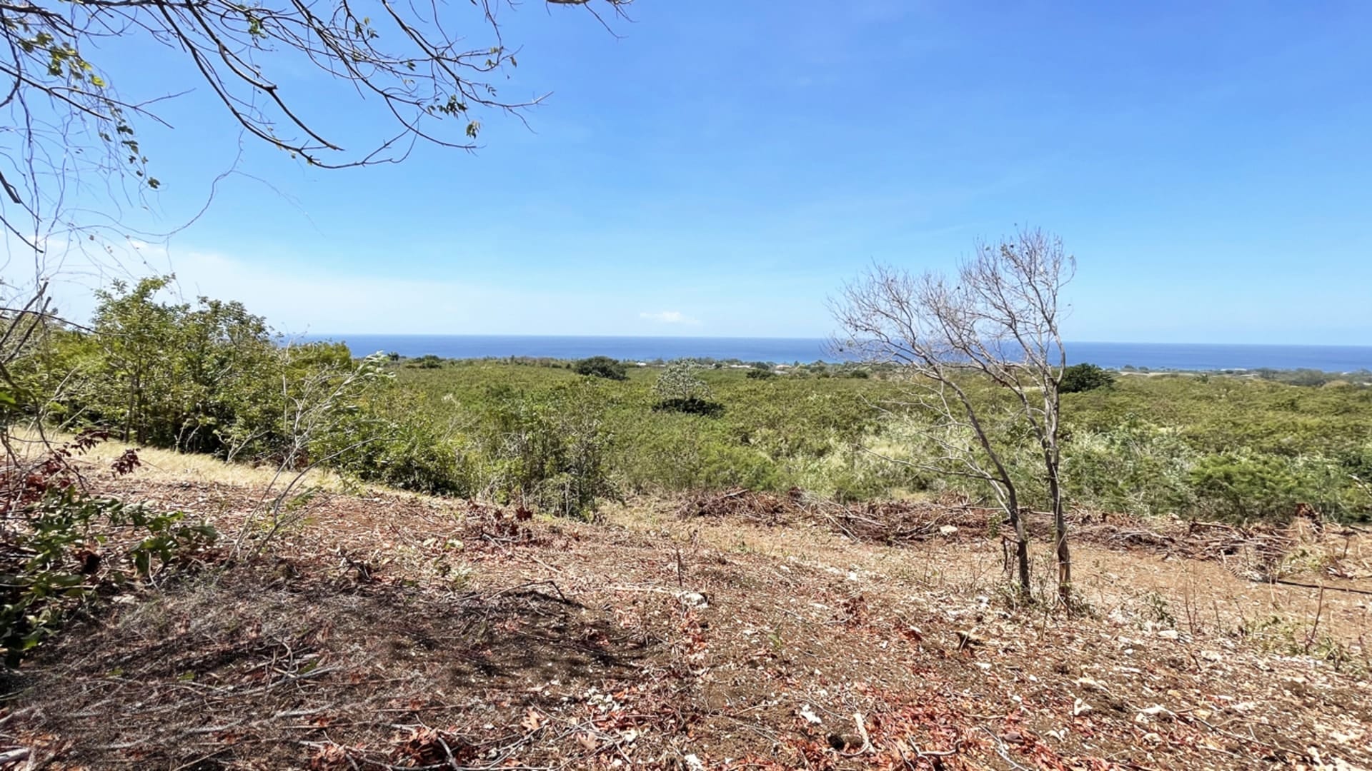 Large Elevated Land with Sea Views - Bakers Lot 2, St. Peter » Barbados ...