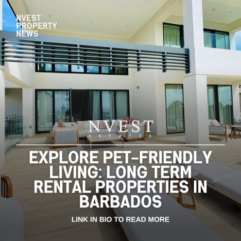 Explore Pet-Friendly Living: Long Term Rental Properties in Barbados ...